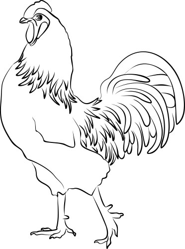 Continuous line drawing rooster concept Royalty Free Vector