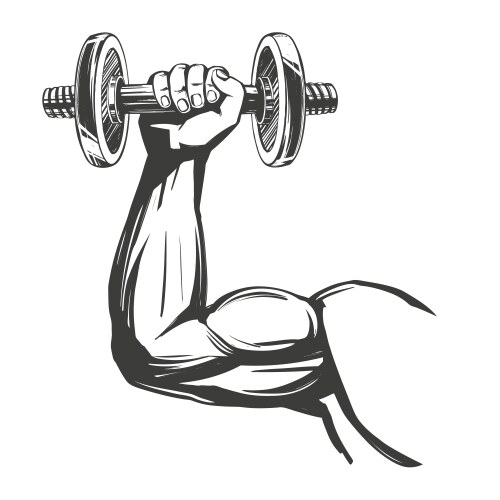 Arm strong hand holding a dumbbell icon cartoon Vector Image