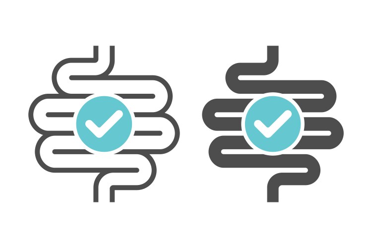 Healthy Digestion Vector Images (over 14,000)