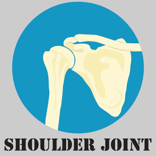Shoulder bone joint black icon hand structure Vector Image