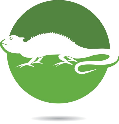 Lizard Outline Vector Images (over 5,300)