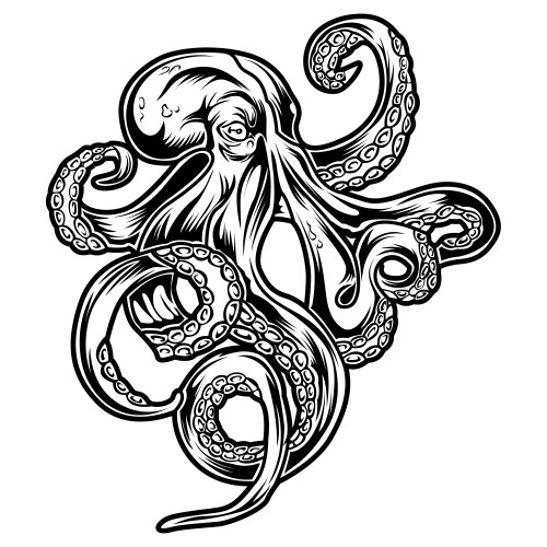Octopus the pirate Royalty Free Vector Image - VectorStock