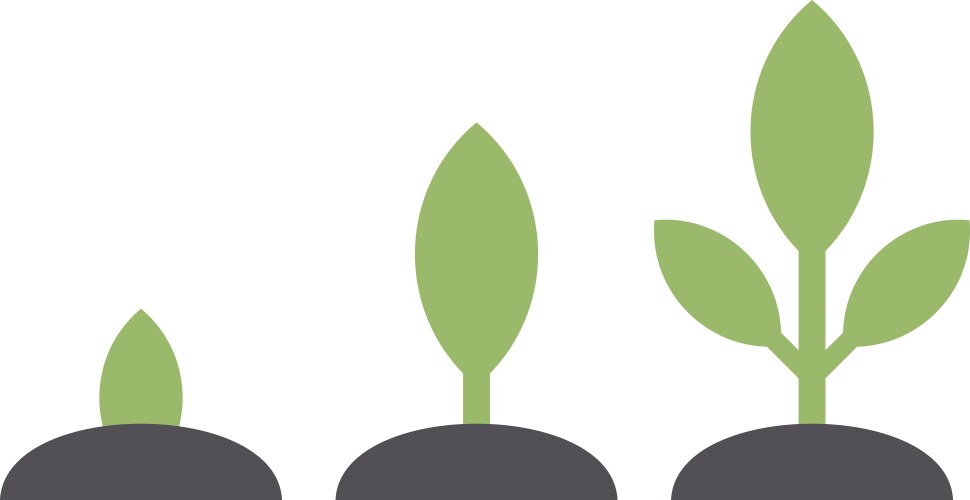 Planting the seed sequence Royalty Free Vector Image