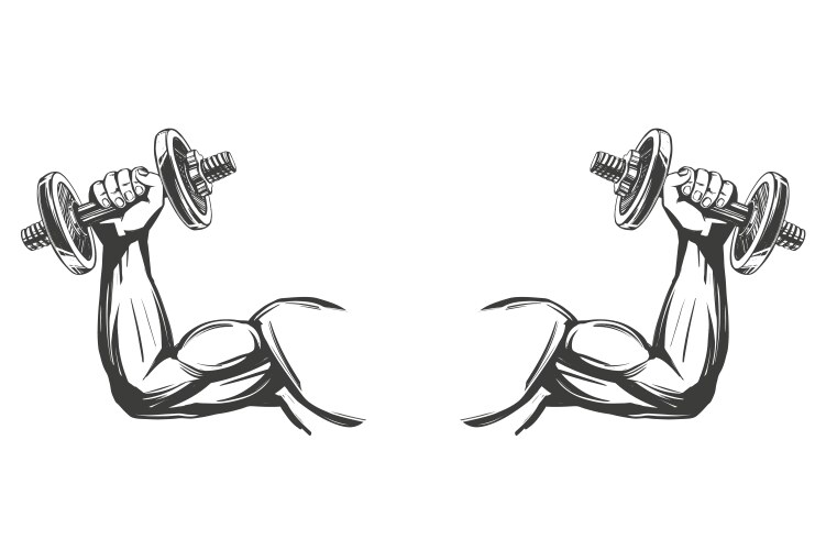 Arm strong hand holding a dumbbell icon cartoon Vector Image