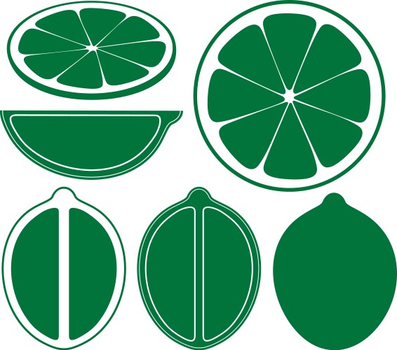 Lime Vector Images (over 240,000)