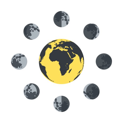 Moon phases concept the whole cycle from new Vector Image