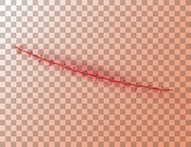 Red dripping blood on transparent background Vector Image