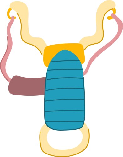 Aim slingshot cartoon Royalty Free Vector Image