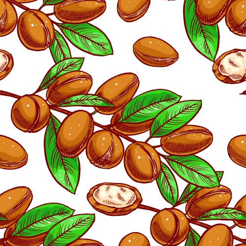 Argan Tree Vector Images (over 370)