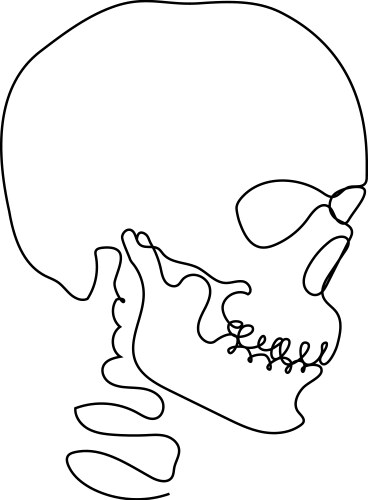 Skull Line Drawing Vector Images (over 16,000)