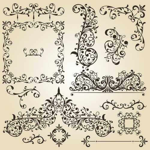 Floral design elements Royalty Free Vector Image