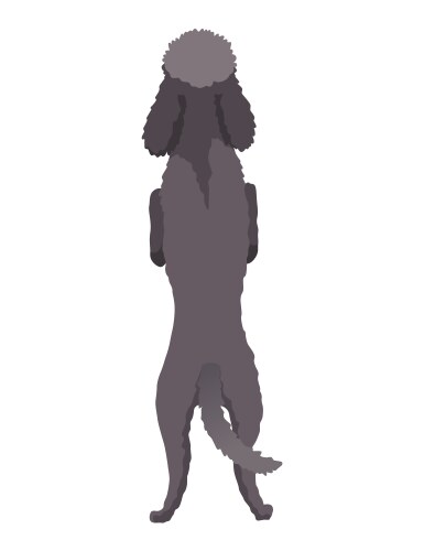 Dog Back View Vector Images (over 370)
