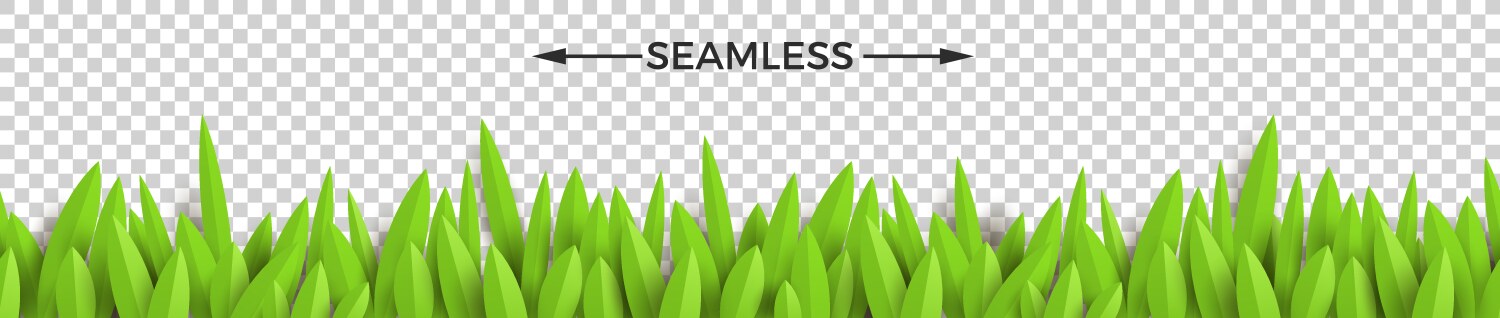 Grass and paper Royalty Free Vector Image - VectorStock