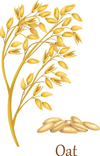 Oat Vector Images (over 18,000)