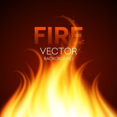 Realistic fire frame Royalty Free Vector Image