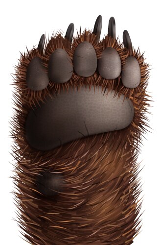 Bear Paw Vector Images (over 19,000)
