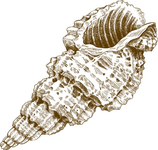 Engraving Vector Images (over 250,000)