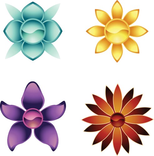 Kosmeya flowers Royalty Free Vector Image - VectorStock