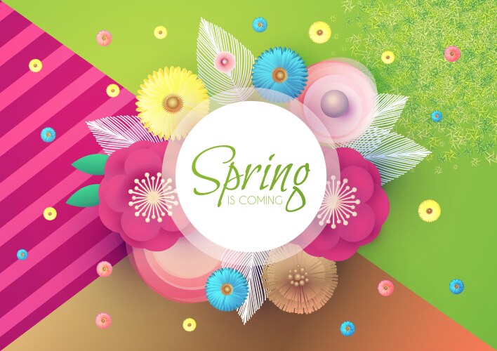 Flower paper cut spring design template Royalty Free Vector