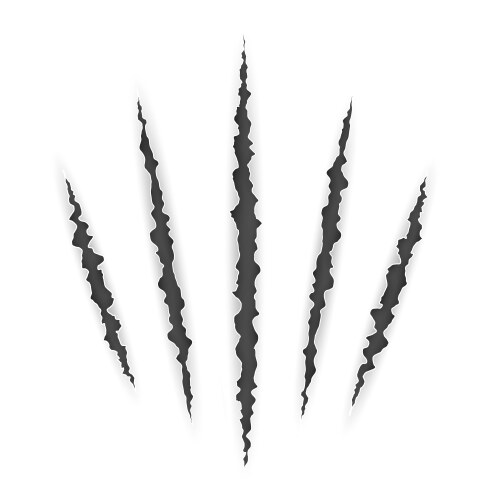 Grizzly bear claw marks wild animal paw scratches Vector Image