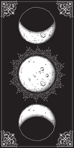 Antique style moon phases isolated Royalty Free Vector Image