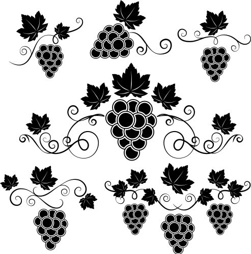 Set grapes logos and icons Royalty Free Vector Image