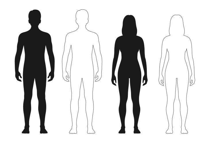 Human Body Outline Vector Images (over 44,000)
