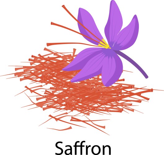 Saffron Vector Images (over 8,300)