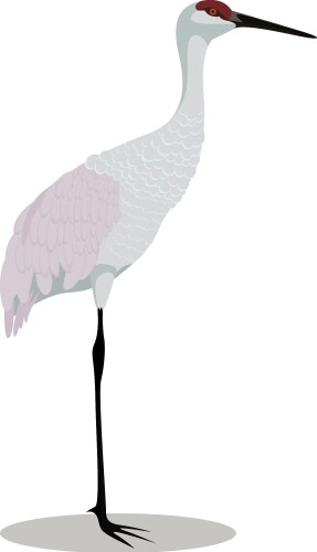 Cartoon Crane Vector Images (over 8,200)