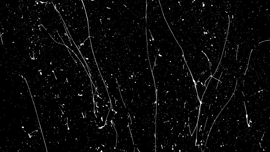 White paint splatter Royalty Free Vector Image