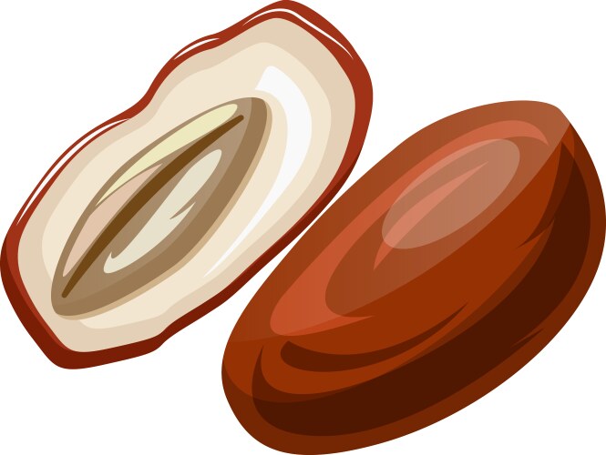 Dates Fruit Cartoon Vector Images (over 1,200)