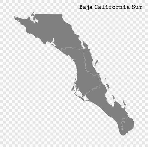 Sinaloa mexico map grey Royalty Free Vector Image