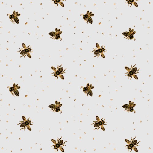 Transparent background with multi-colored apples Vector Image