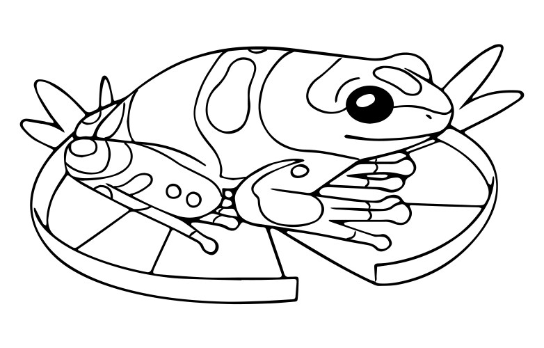 Frog Poison Dart Drawing Vector Images (70)