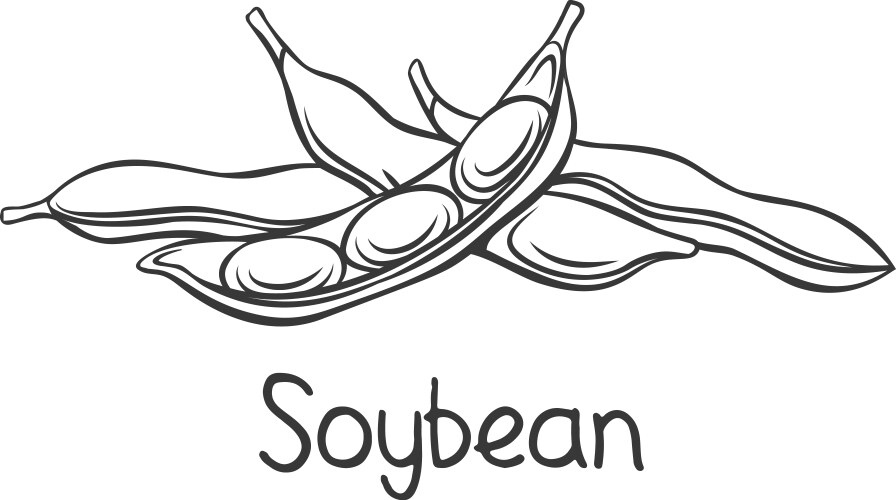 Peas Outline Vector Images (over 4,100)