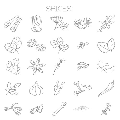 Herbs and spices icons Royalty Free Vector Image