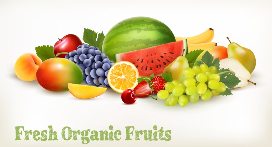 Set of various fresh fruits isolate on white Vector Image