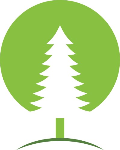 Cedar tree graphic design template isolated Vector Image