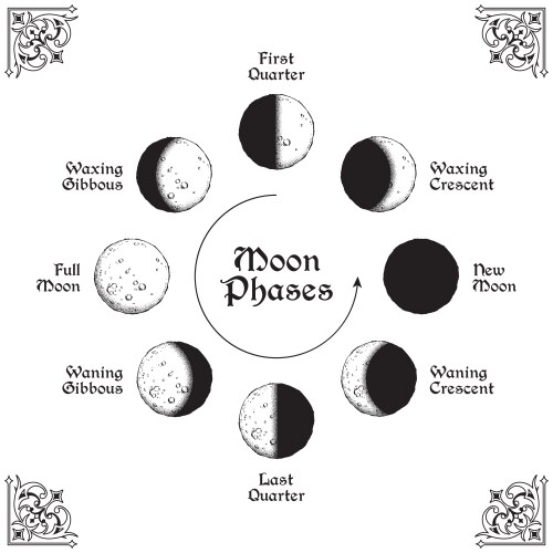 Moon Drawing Together We Will Honor The New Moon And Set Our