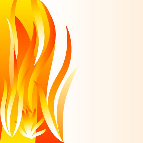 Burning fire flame on a white background Vector Image