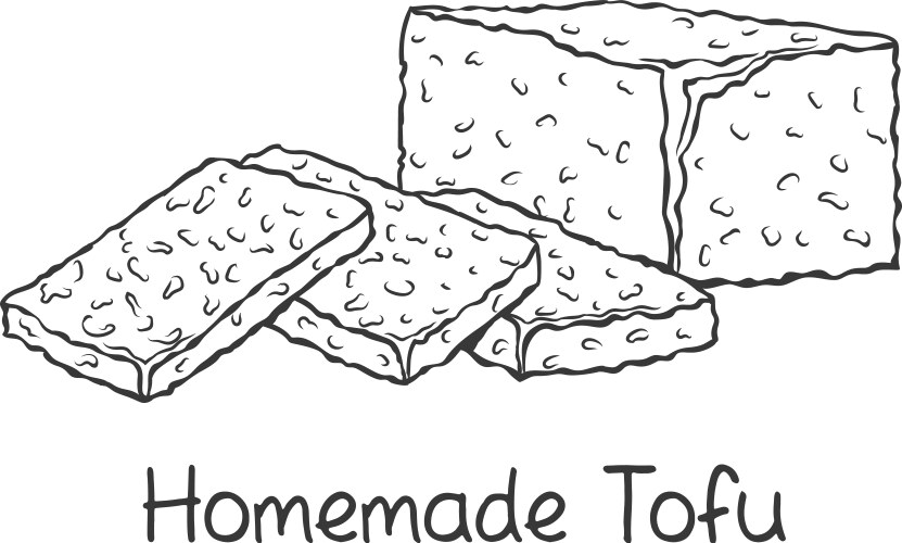 Homemade tofu bean curd Royalty Free Vector Image