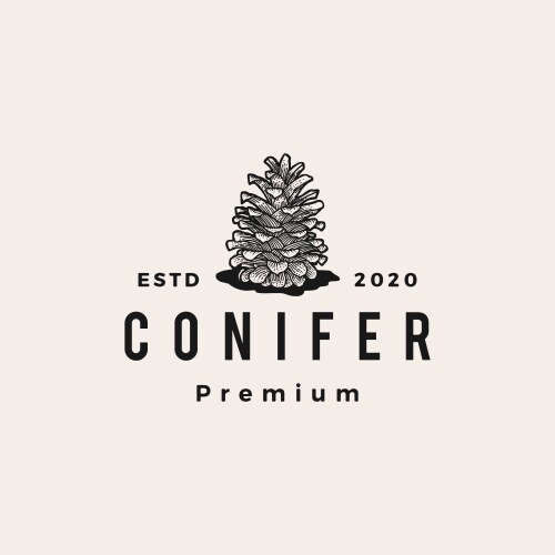 Conifer logo icon Royalty Free Vector Image - VectorStock