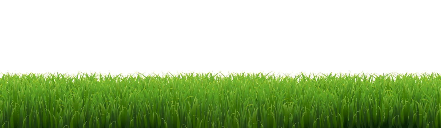 Green grass and white background Royalty Free Vector Image