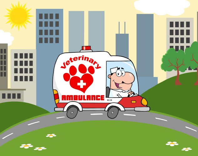 Cartoon vet Royalty Free Vector Image - VectorStock