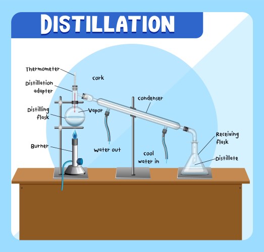 Distillation process diagram for education Vector Image