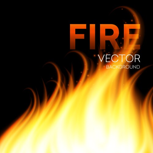 Burning flames background Royalty Free Vector Image