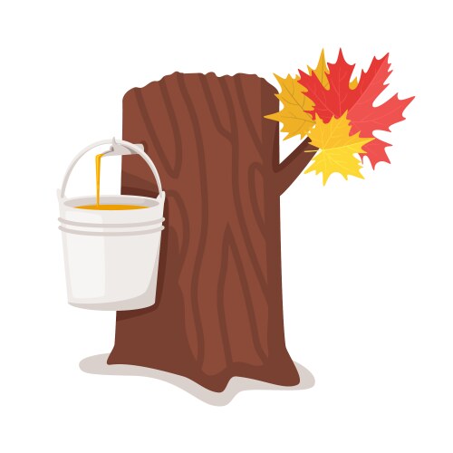 Maple syrup spill honey melted drip isolated Vector Image