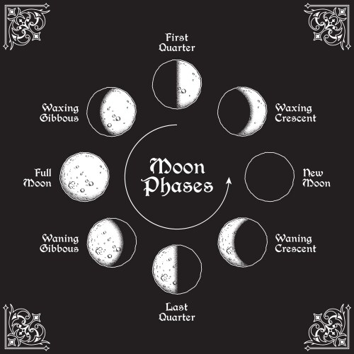 Black Circle Outline Vector Images (over 260,000)