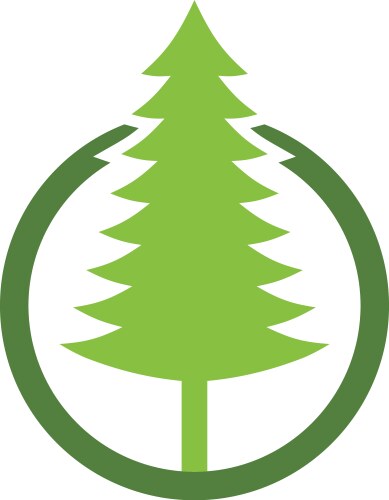 Cedar tree graphic design template isolated Vector Image