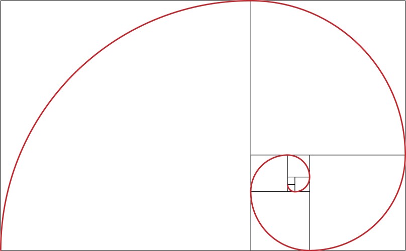 Fibonacci spiral golden ratio Royalty Free Vector Image